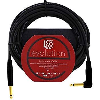 ProCo Evolution 10FT Right Angle Instrument – Twin Town Guitars
